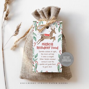 Magical Reindeer Food Gift Tag Printable Digital Download Christmas Eve ...