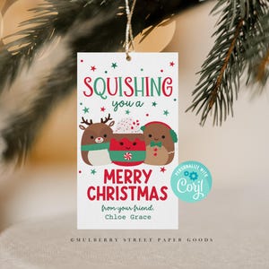 Squish Christmas Gift Tag Digital Download Plush Christmas Gift for ...