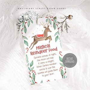 Magical Reindeer Food Gift Tag Printable Digital Download Christmas Eve ...