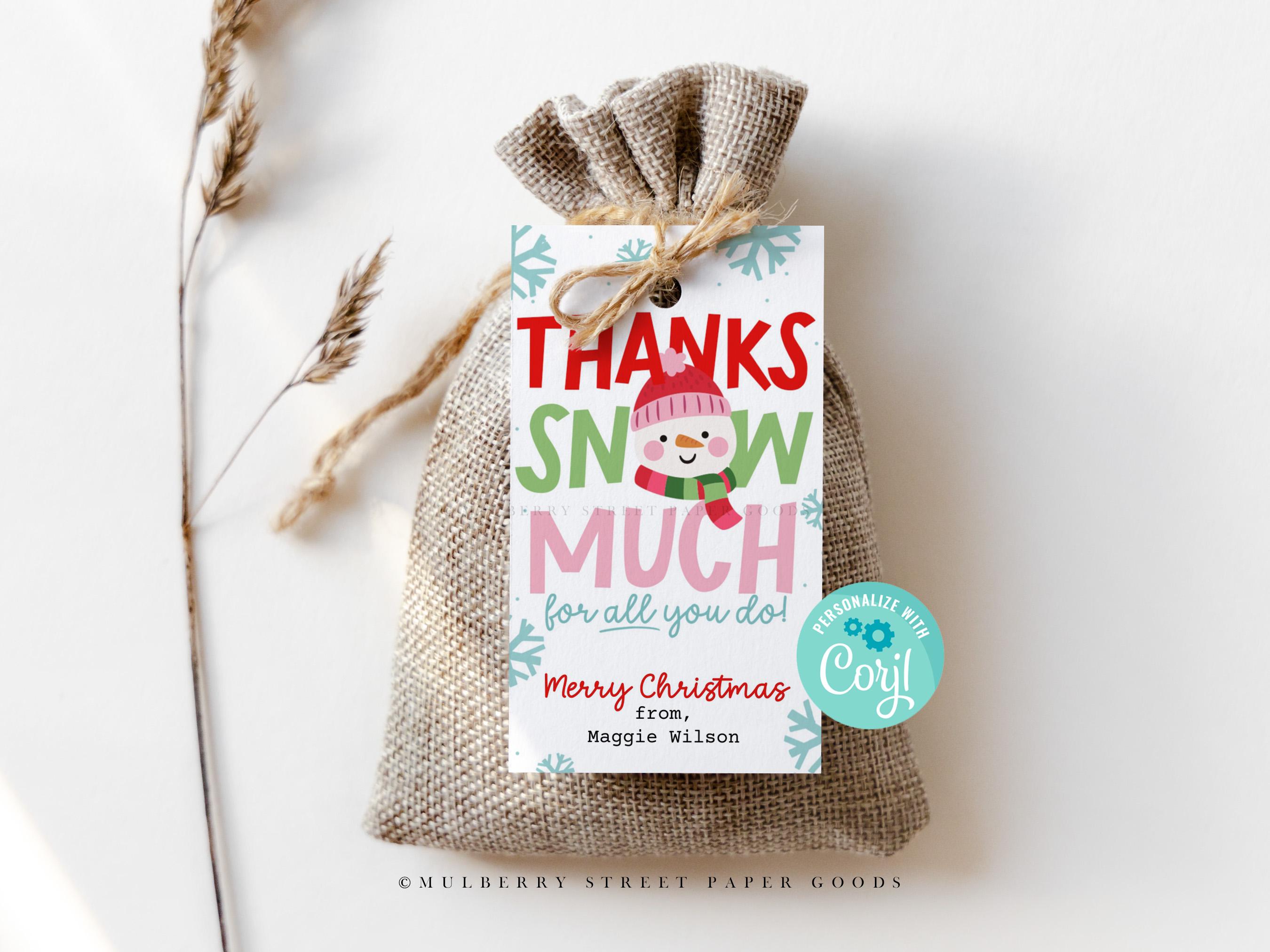 Thanks Snow Much Gift Tag Printable Christmas Thank You Tag Gift for ...