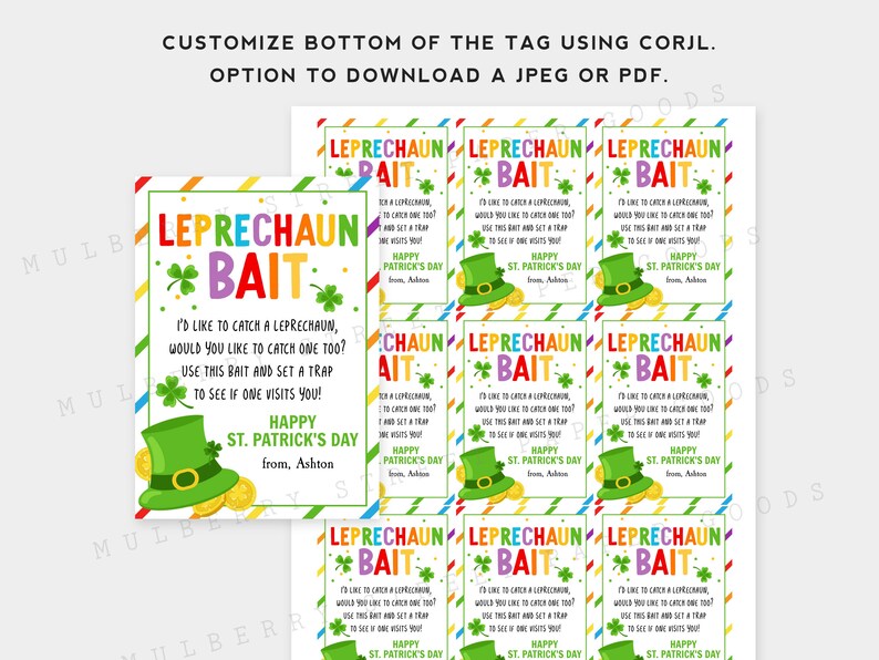 Printable Leprechaun Bait Card, St Patricks Day Activity for Kids ...