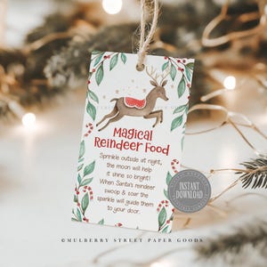 Magical Reindeer Food Gift Tag Printable Digital Download Christmas Eve ...