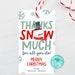 Editable Thanks Snow Much Gift Tag Digital Download Snowman Gift Tag ...