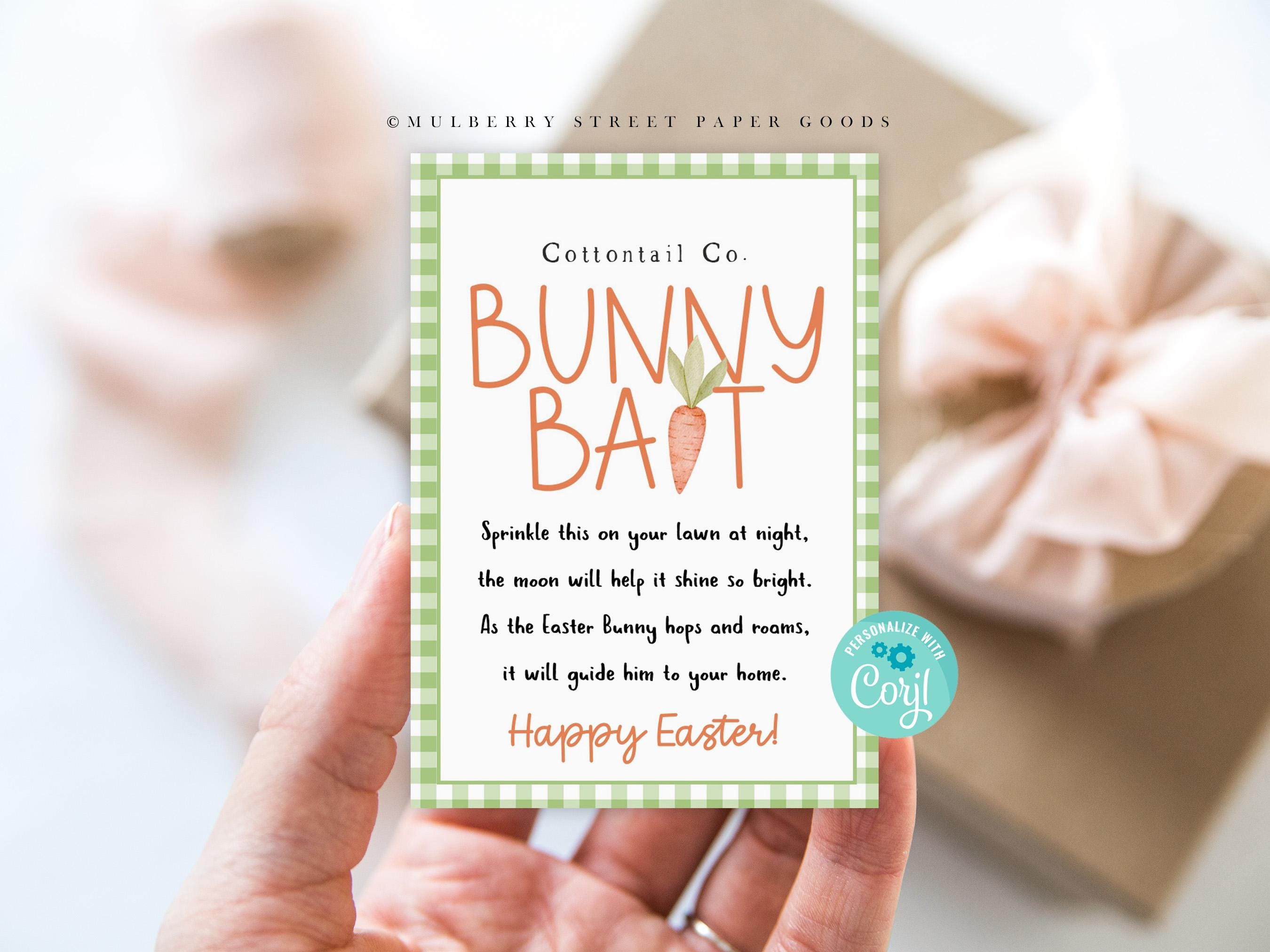 Printable Gingham Bunny Bait Instructions Tag, Easter Bunny Bait Card ...