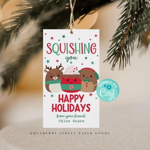 Editable Christmas Squish Gift Tag Digital Download Happy Squishing ...