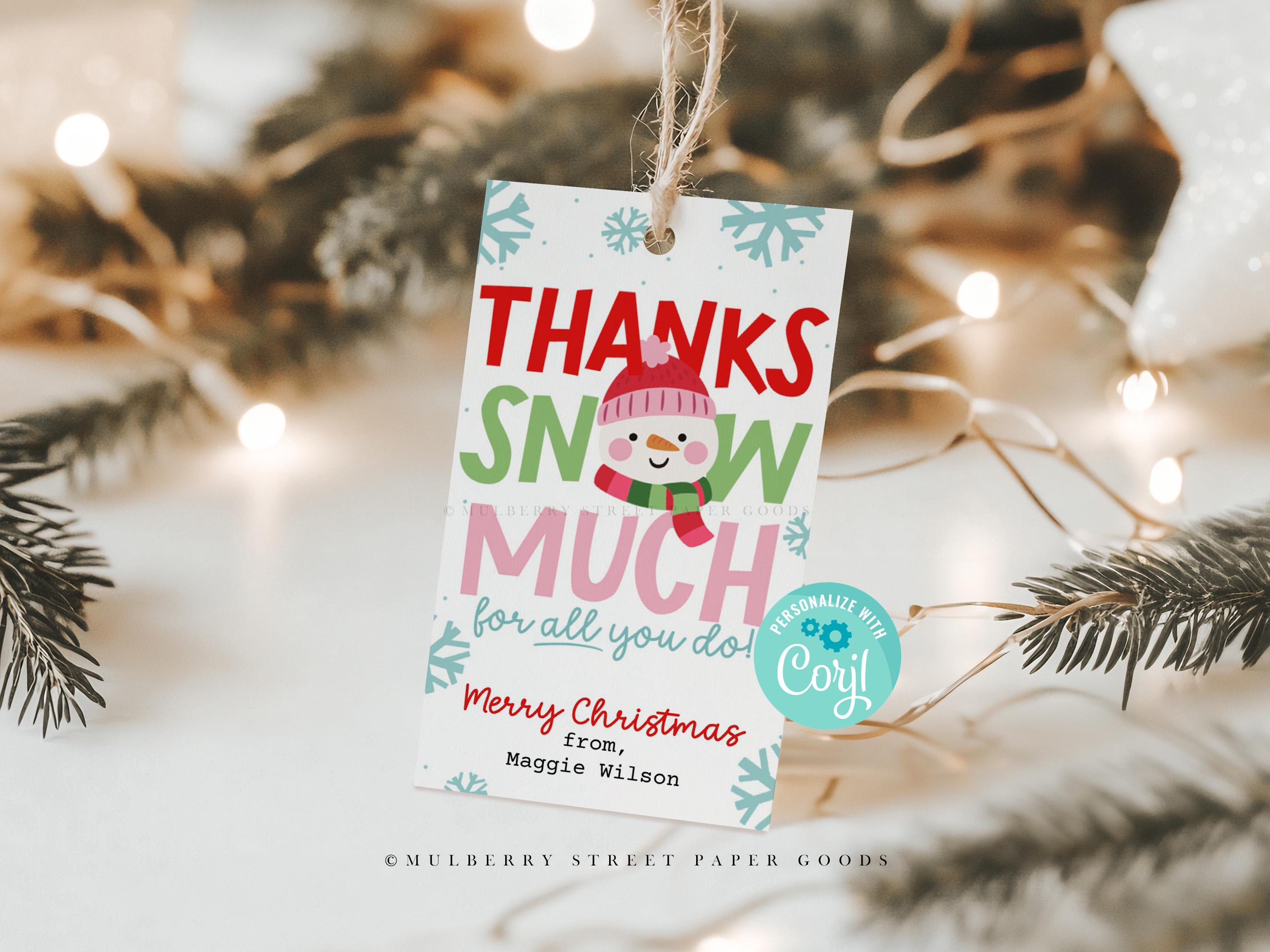 Thanks Snow Much Gift Tag Printable Christmas Thank You Tag Gift for ...