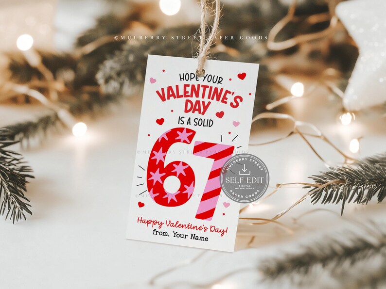 67 Valentine's Day Gift Tag Printable Digital Download Canva Template ...