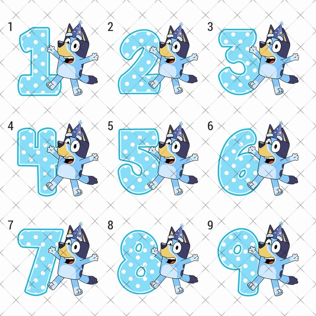 Bluey Boys Birthday Numbers DTF Iron on Heat Transfer Sticker for T ...