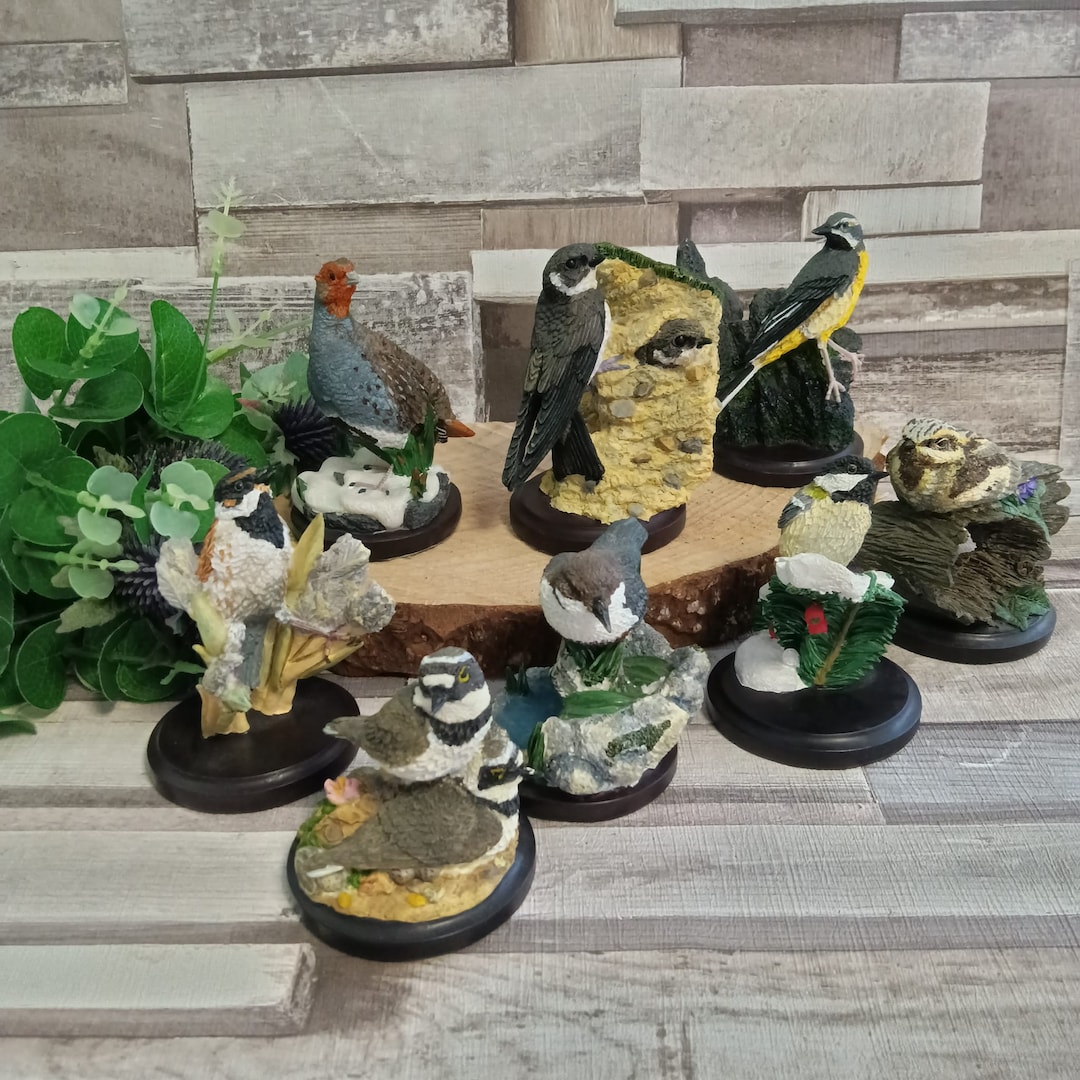 Country Bird Collection, Andy Pearce, British Birds, Loves Birds, Bird ...