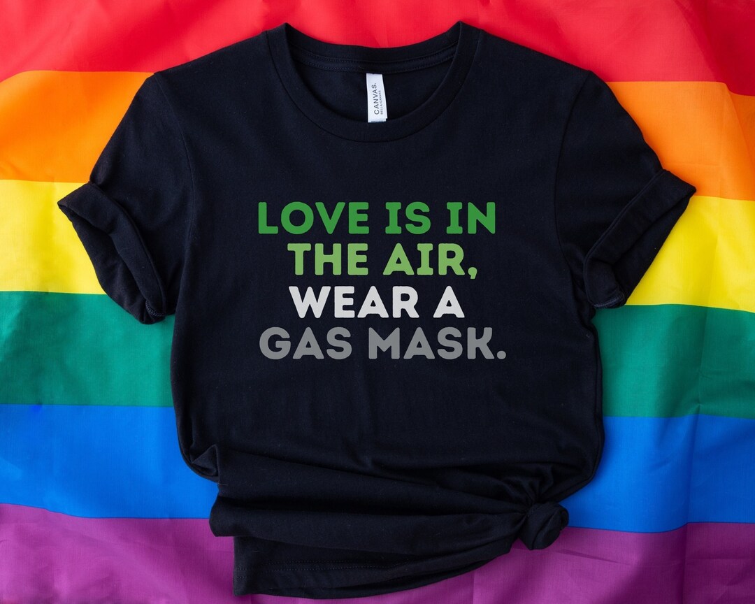 Funny Aromantic Shirt; Subtle Aro Pride Tshirt; Anti Valentines Day ...
