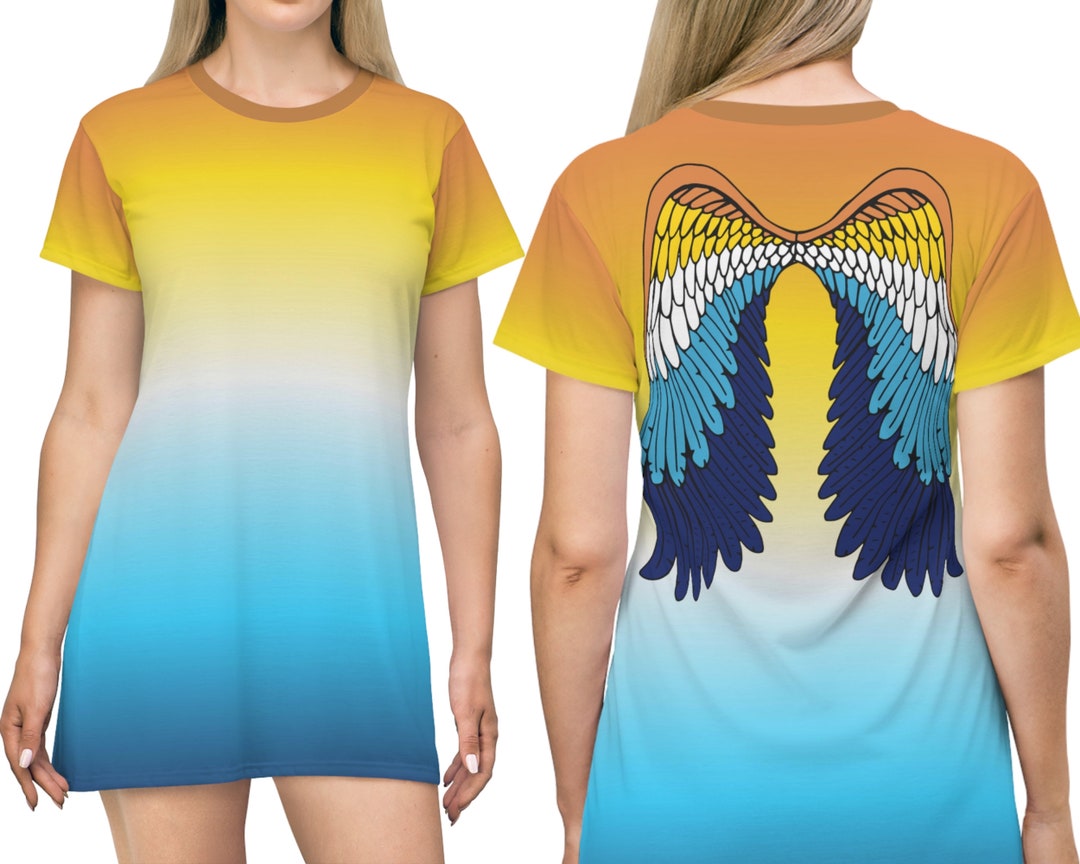 Aroace T-shirt Dress; Aromantic Asexual Pride Sleep Shirt; Angel Wings ...