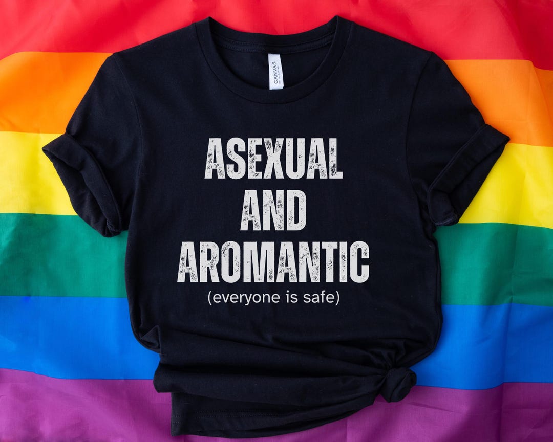 Funny Aroace Shirt, Sarcastic Aro Ace Pride T-shirt, Grunge Asexual ...