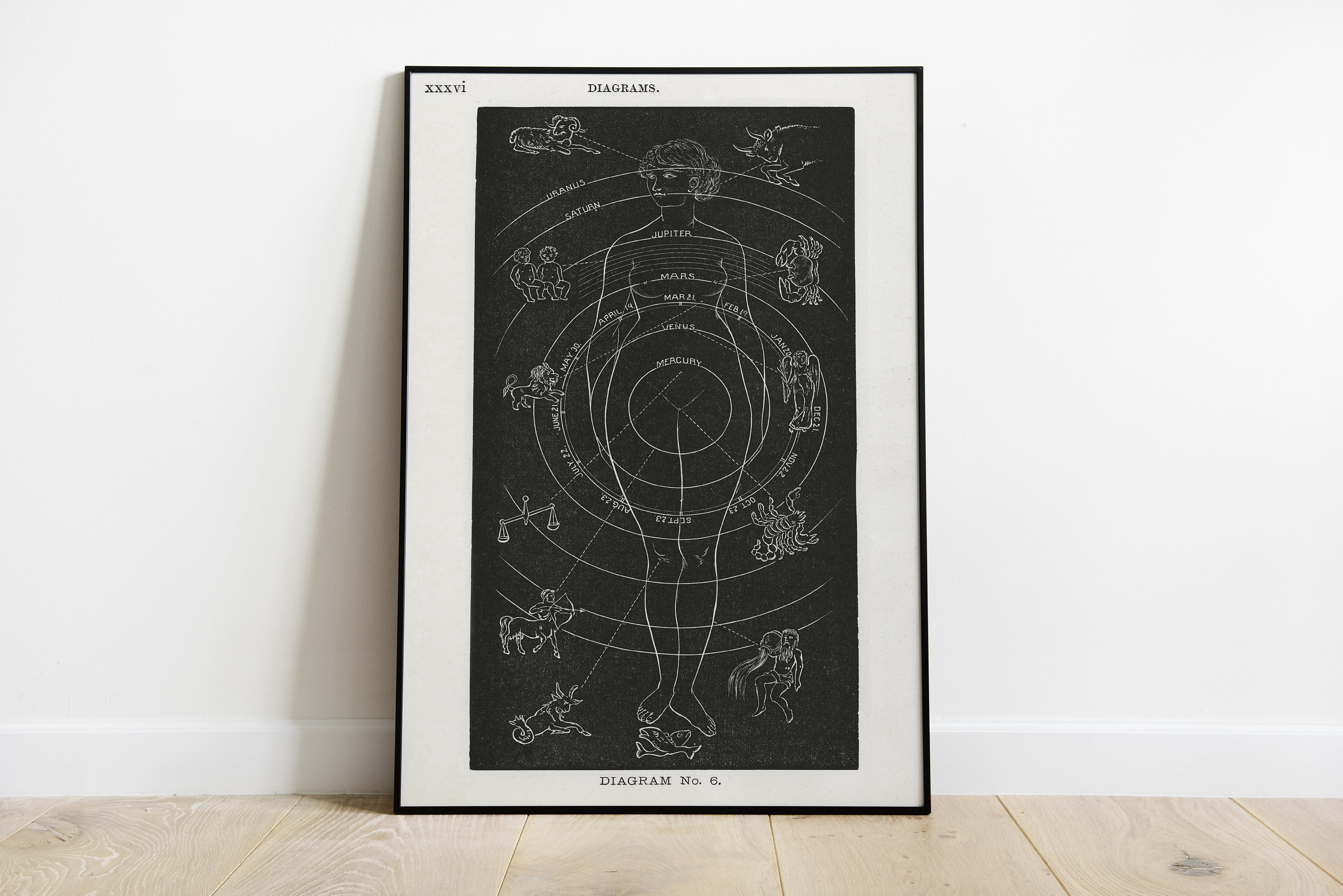 Star Sign Diagram Art Print Horoscope Art Biology Diagram - Etsy