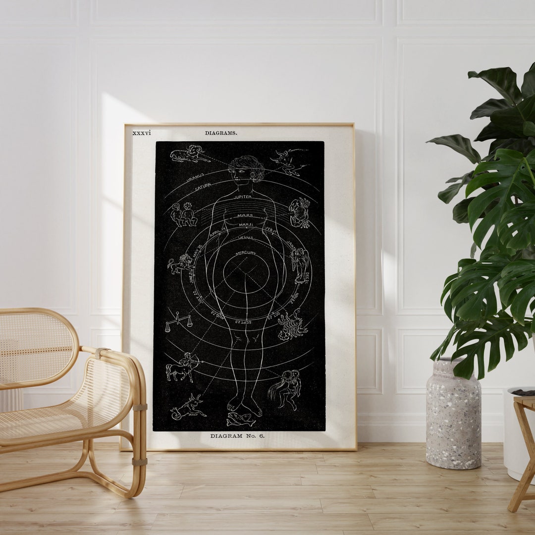Star Sign Diagram Art Print, Horoscope Art, Biology Diagram, Art Print ...