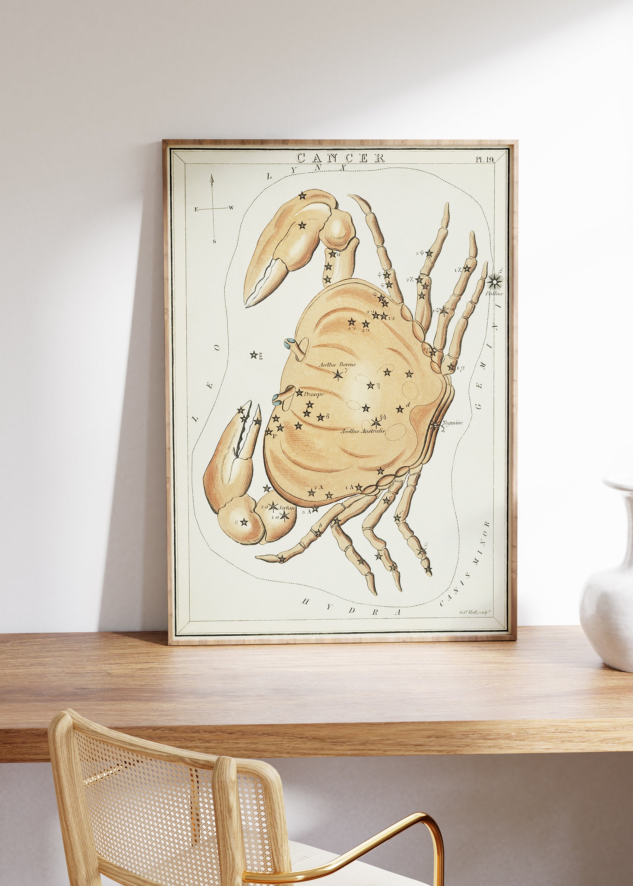 Cancer Star Constellation Map Vintage Illustration Art Print - Etsy