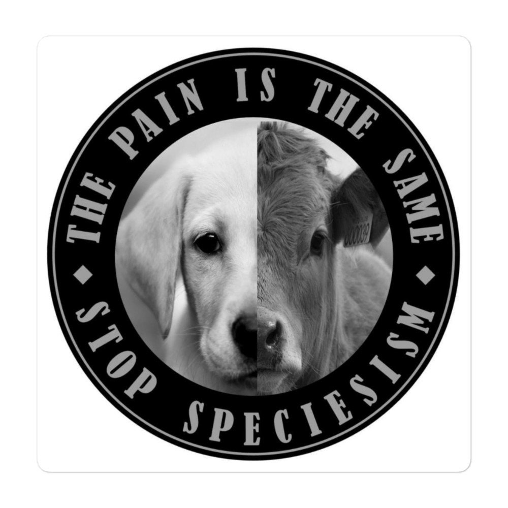 Vegan Sticker Cows Are Dogs, Pain is the Same, Animal Rights Veg ...