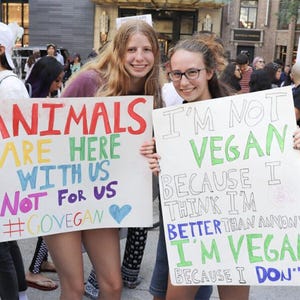 Vegan Sticker Rabbit is the Same for Animal Rights Activists, Veganism ...