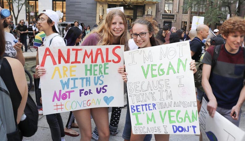 Vegan Sticker Rabbit is the Same for Animal Rights Activists, Veganism ...