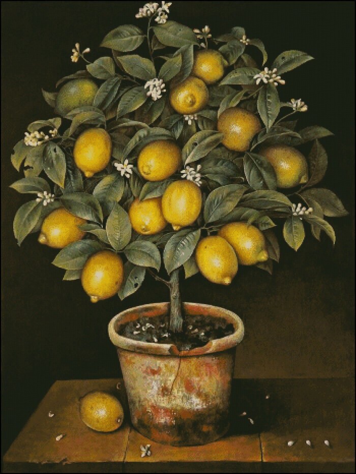 Lemon Tree Counted Cross Stitch Pattern, Printable Chart PDF Format ...