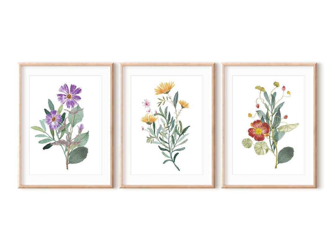 Botany Gallery Wall Art Set of 3 Watercolor Prints, Wildflower ...