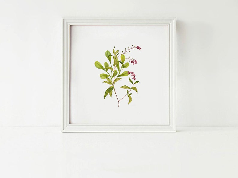 Botany Wall Art Printable, Instant Download, Multiple Sizes, Watercolor ...