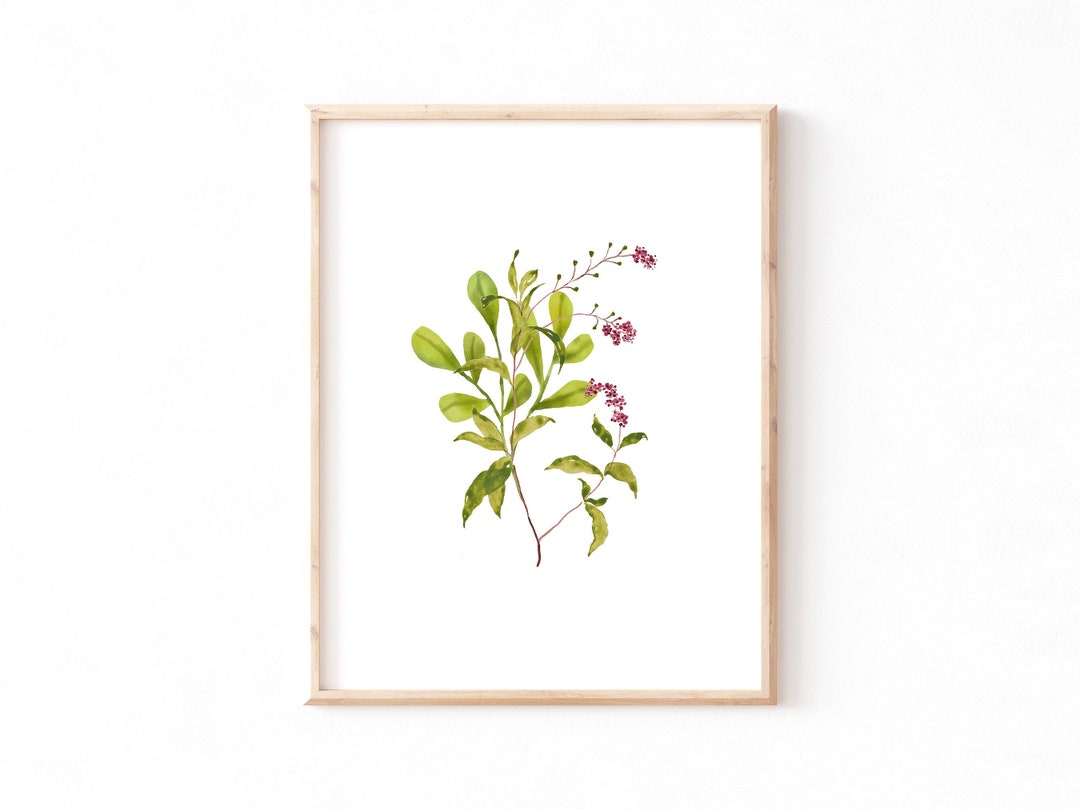 Botany Wall Art Printable, Instant Download, Multiple Sizes, Watercolor ...
