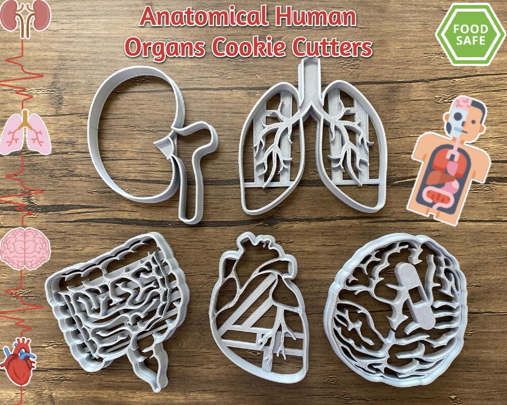 Anatomy Cookie Cutter Set - Etsy