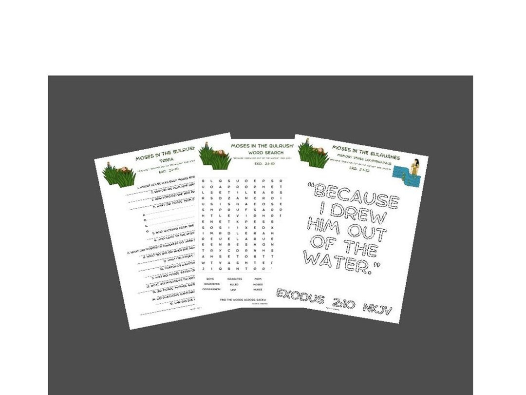Moses in the Bulrushes Sunday School Lesson Bundle - Etsy