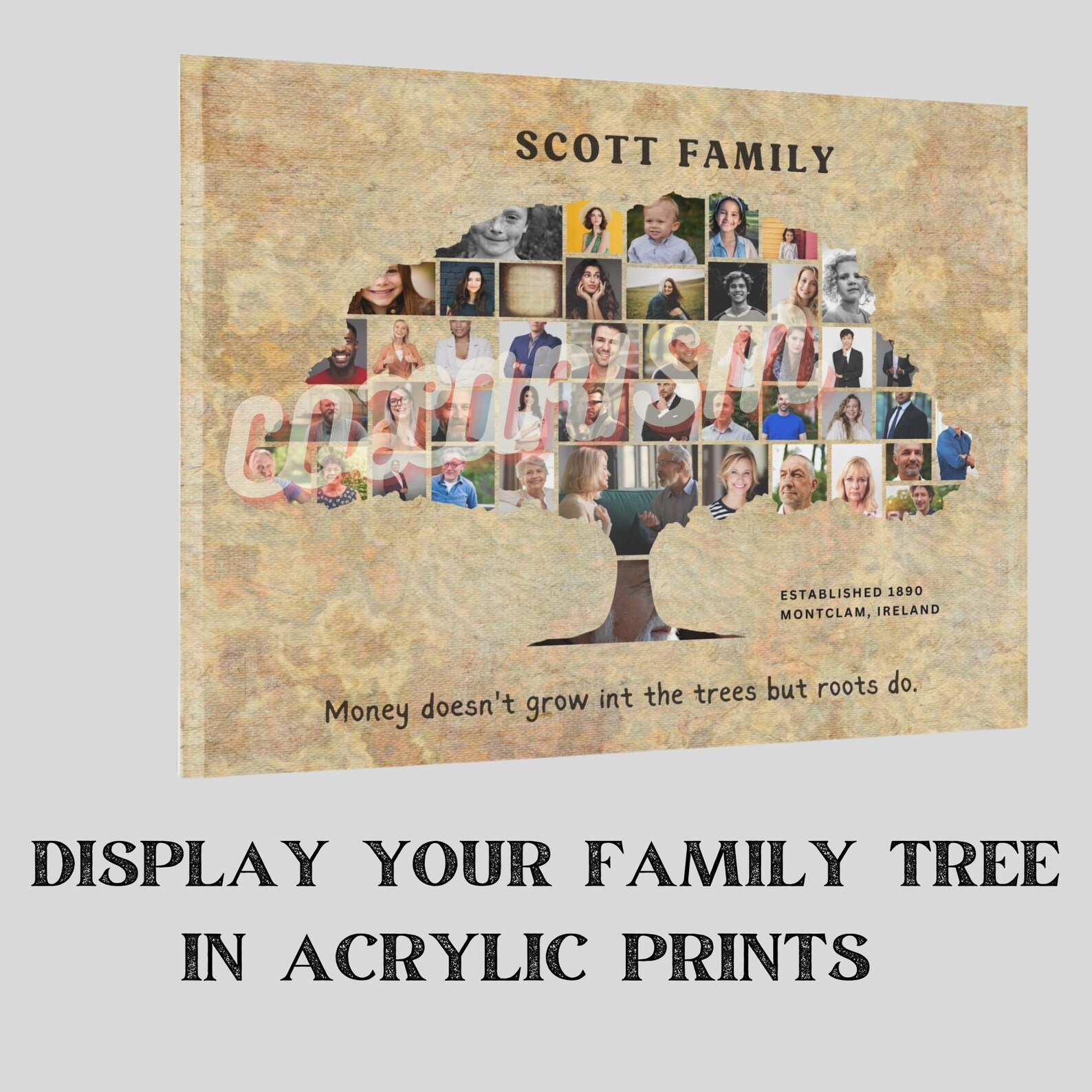 Family Tree Collage Family Tree Builder With Photos Template Family ...