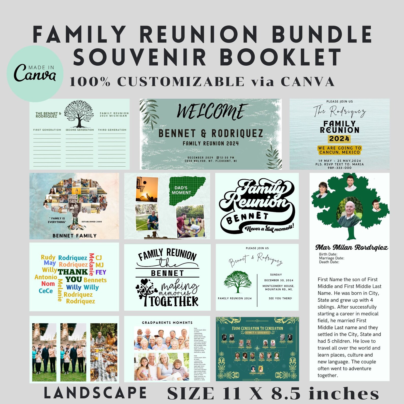 Family Reunion Editable Template Editable Family Reunion Invitation ...