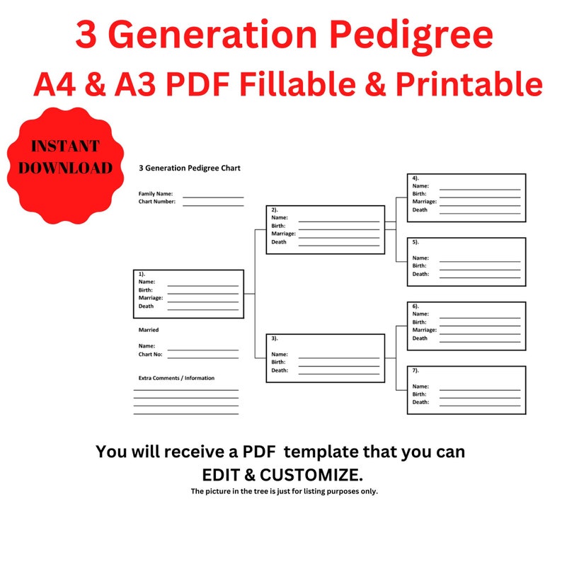 3 Generation Family Tree Chart PDF Form Family Tree Printable and ...