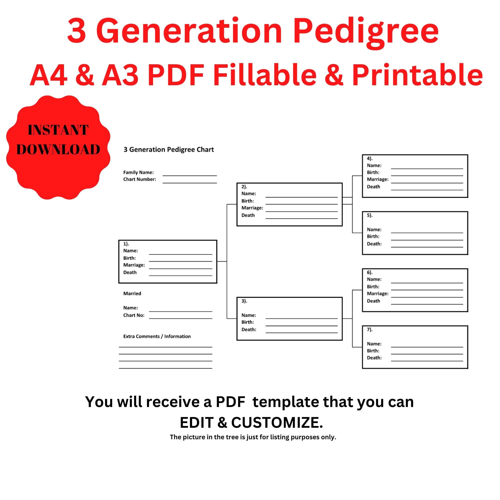 3 Generation Pedigree Chart Template