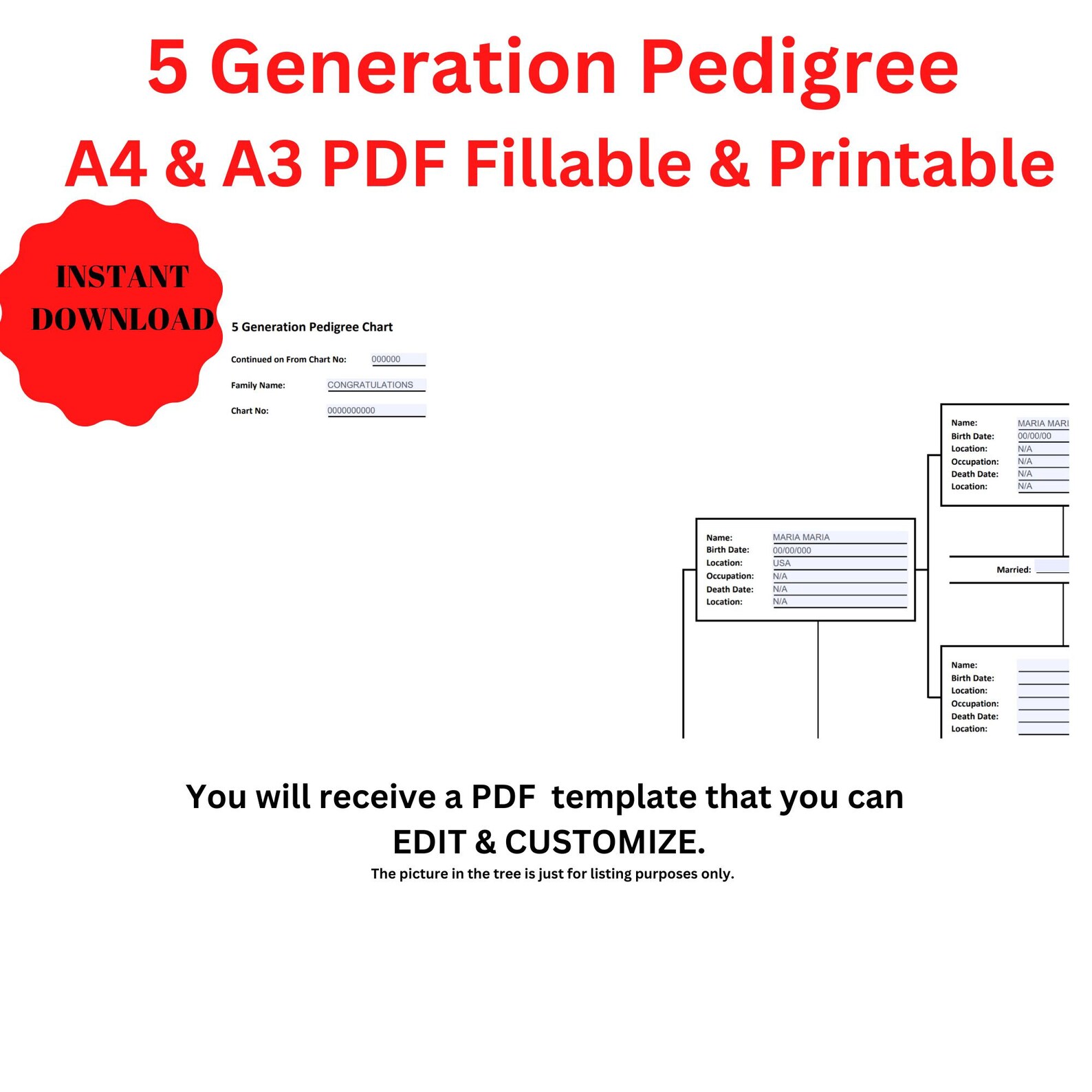 5 Generation Family Tree Template PDF Genealogy Tracker Pages Inserts ...