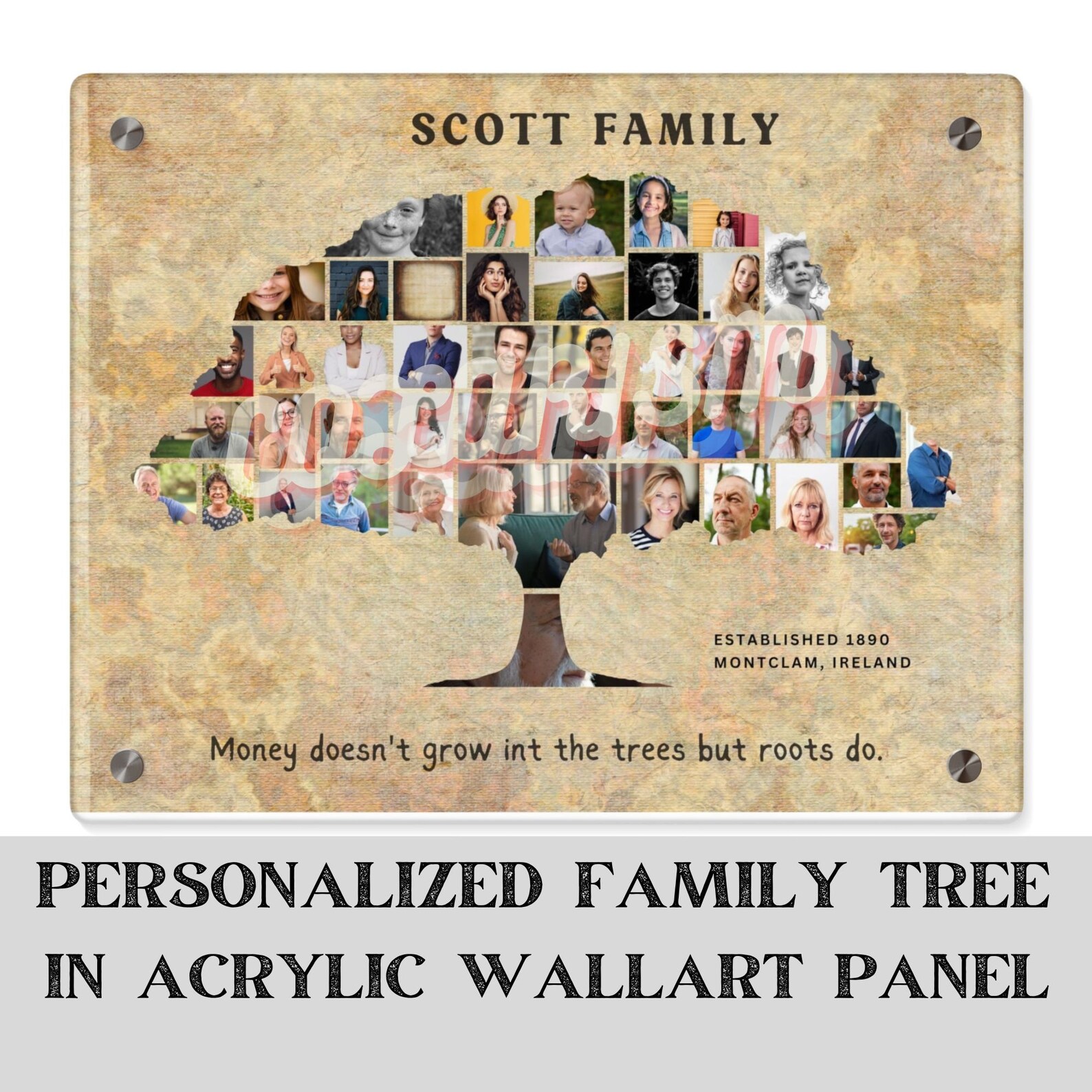 Family Tree Collage Family Tree Builder With Photos Template Family ...