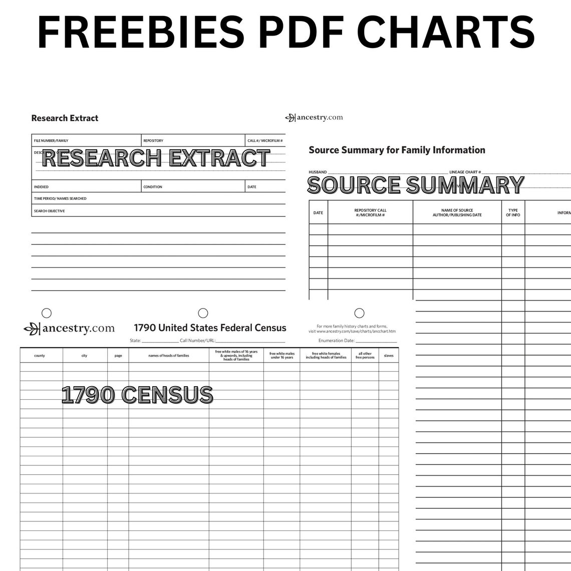 Microsoft Word Family Ancestry Editable Book Template Family History ...