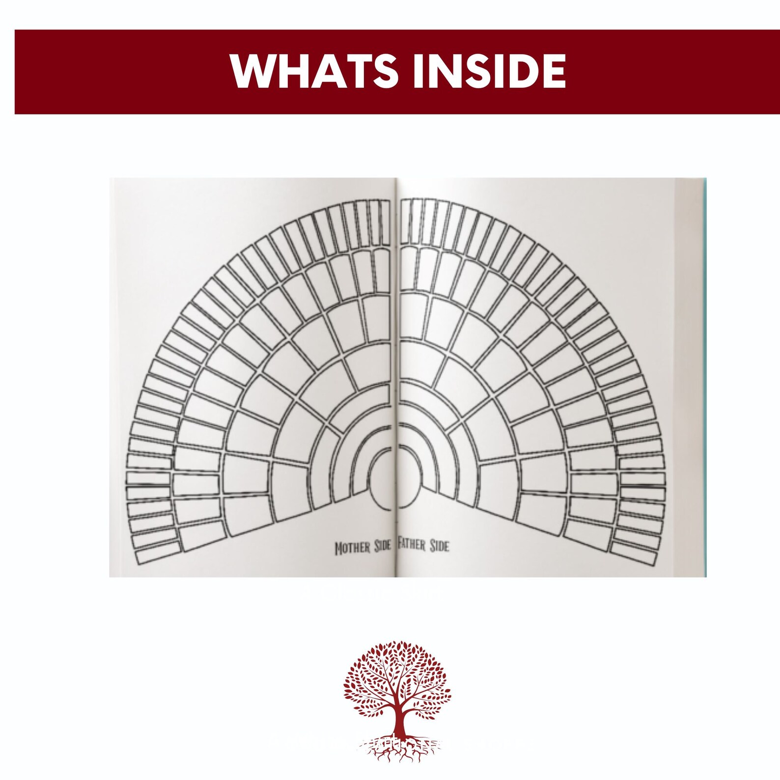Genealogy Workbook Organizer Family Workbook Organizer Genealogy ...