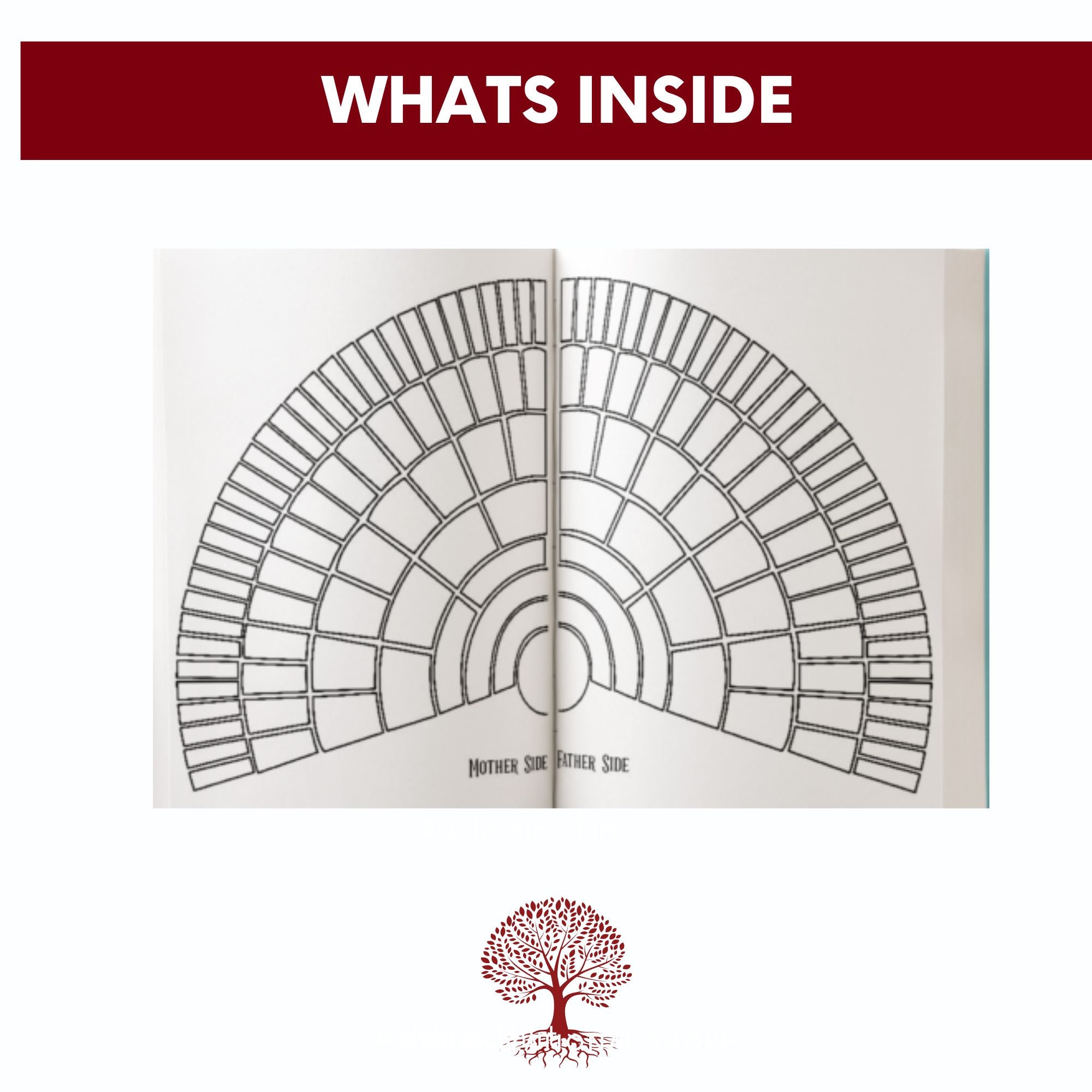 Genealogy Workbook Organizer Family Workbook Organizer Genealogy ...