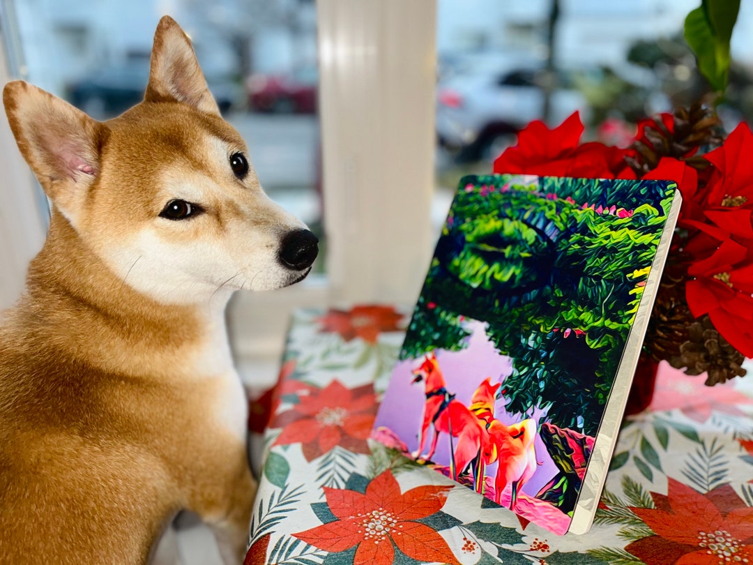 Shiba Inu Central Park Manhattan, Journal, Sketchbook, Shiba Inu ...