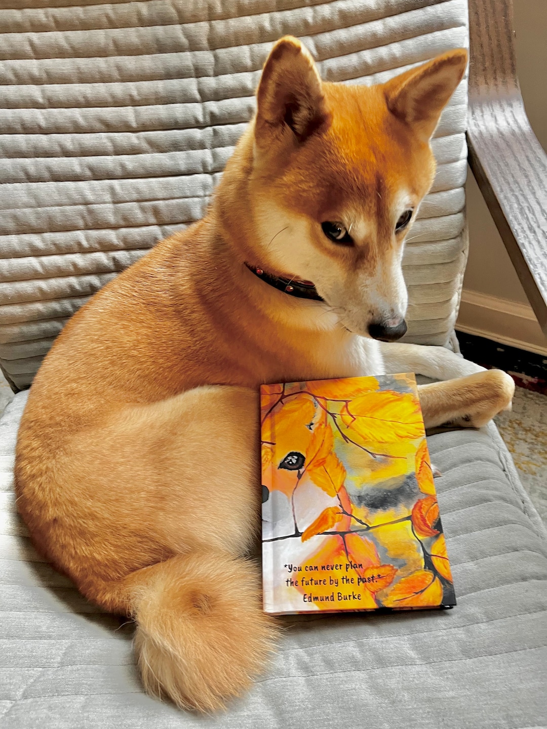 Shiba Inu Notebook, Autumn, Fall Time, Hardcover Journal Matte ...