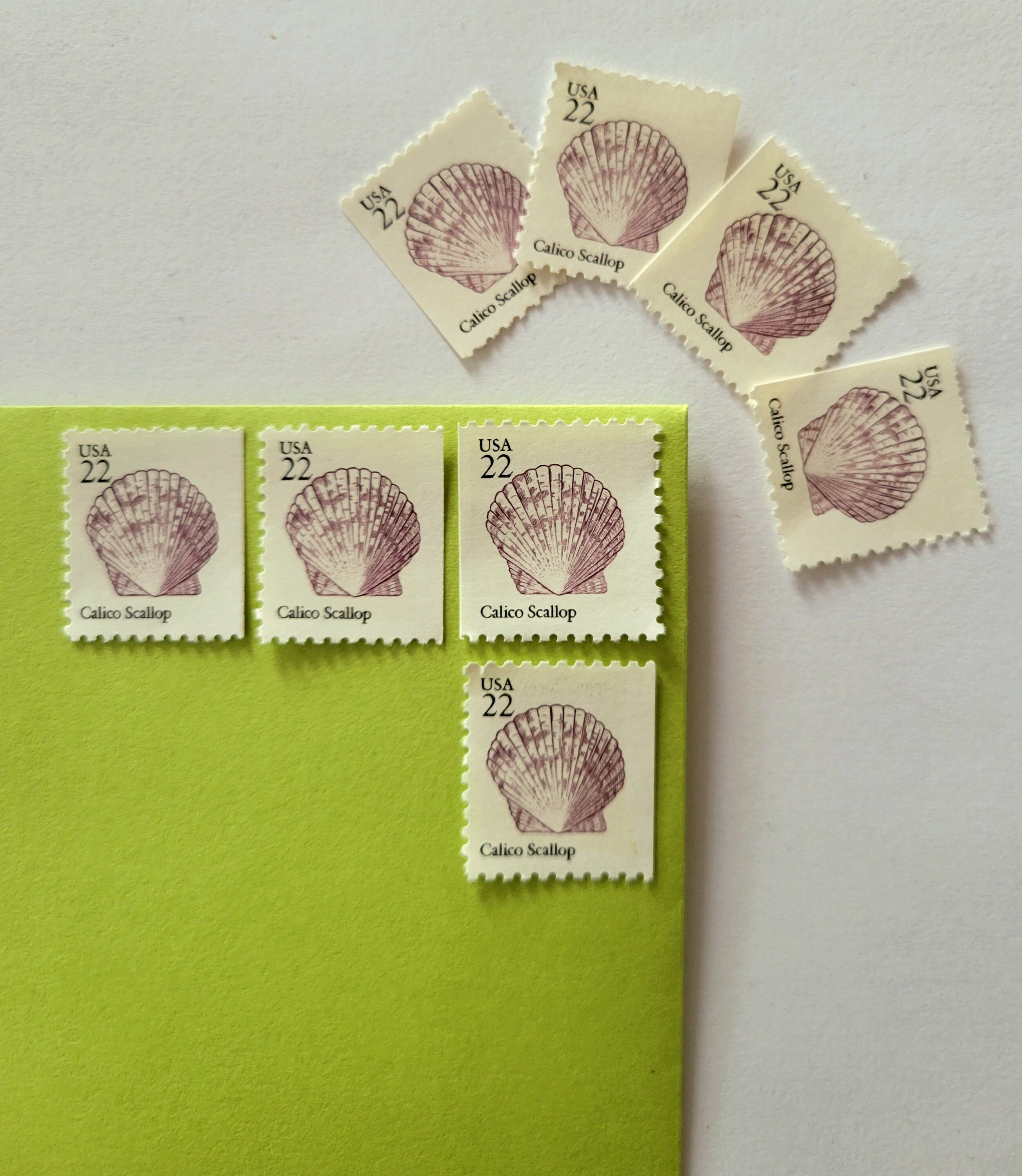 Vintage Postage || 5x Seashells: Calico Scallop 22c (1985) || Neutral ...