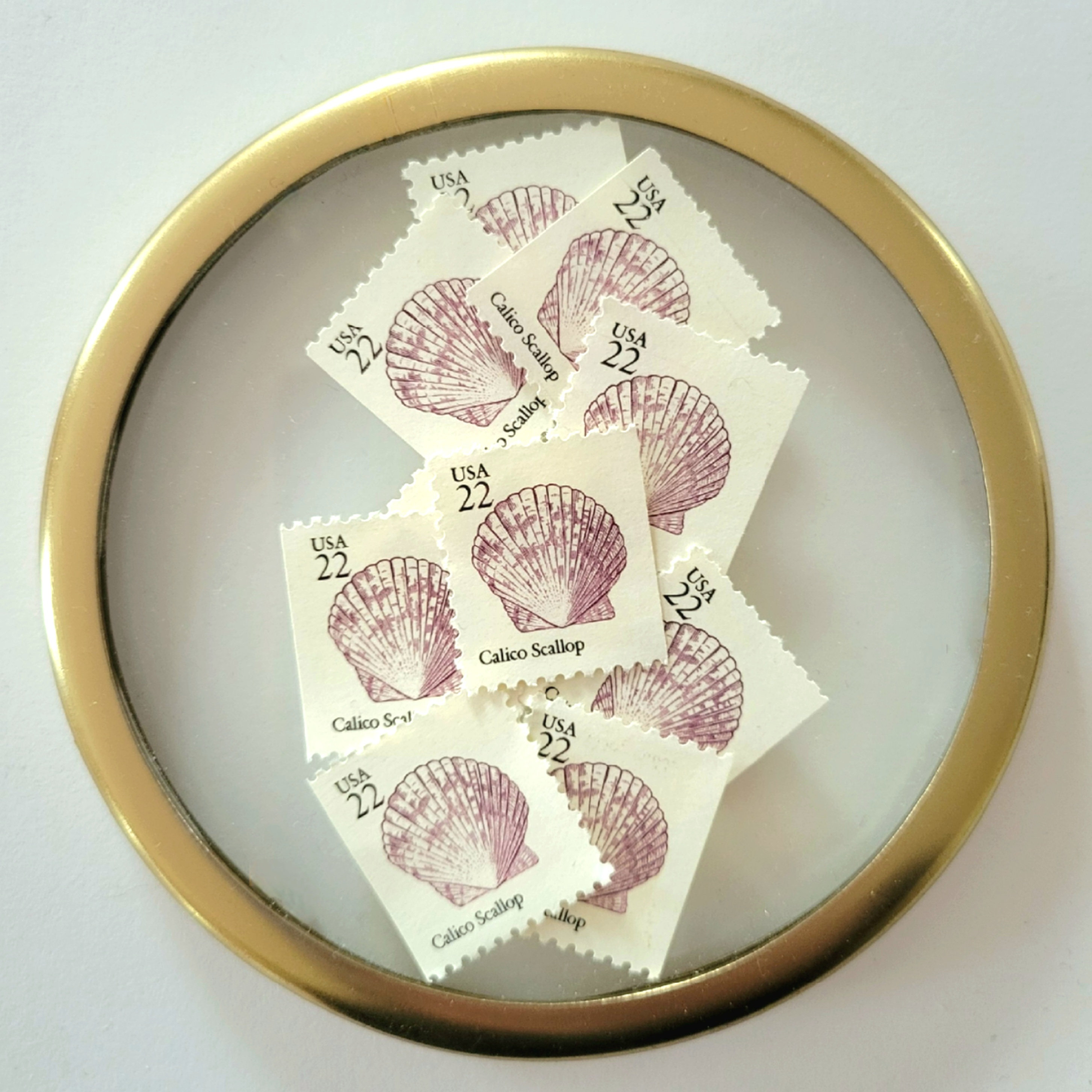 Vintage Postage 5x Seashells: Calico Scallop 22c 1985 - Etsy