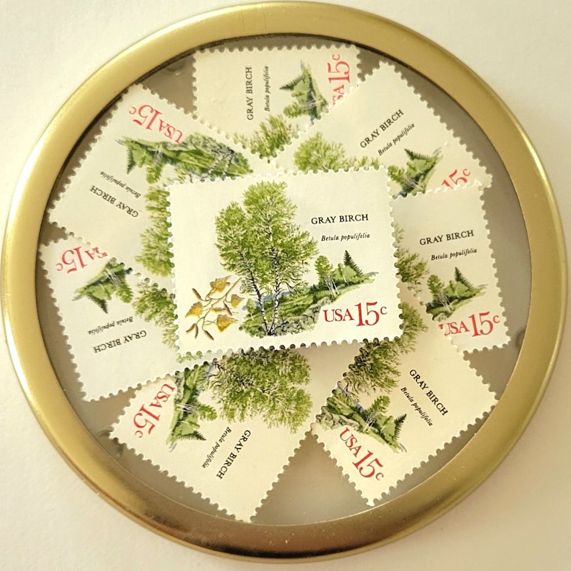 Birch Tree Stamps - Etsy