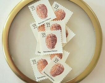Vintage Postage || 5x Seashells: Calico Scallop 22c (1985) || Neutral ...