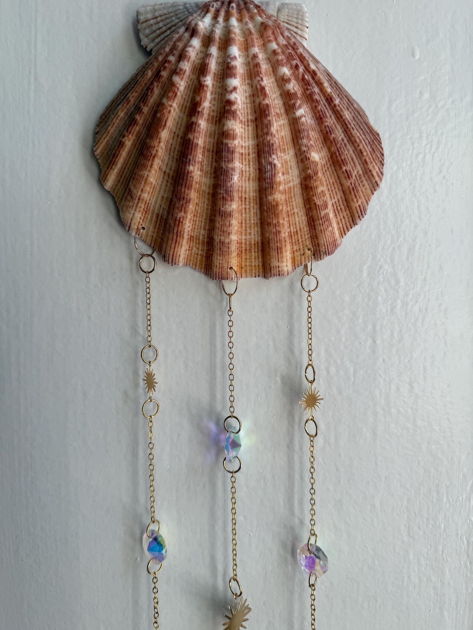 Seashell Suncatcher - Etsy