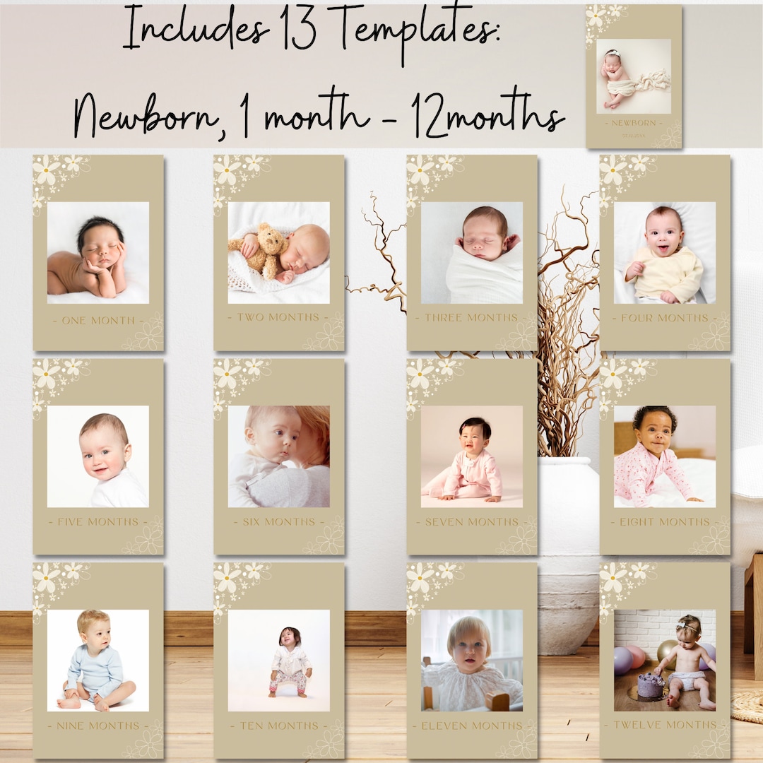 Editable Monthly Milestone Photo Cards: Wild ONE Decor (digital ...