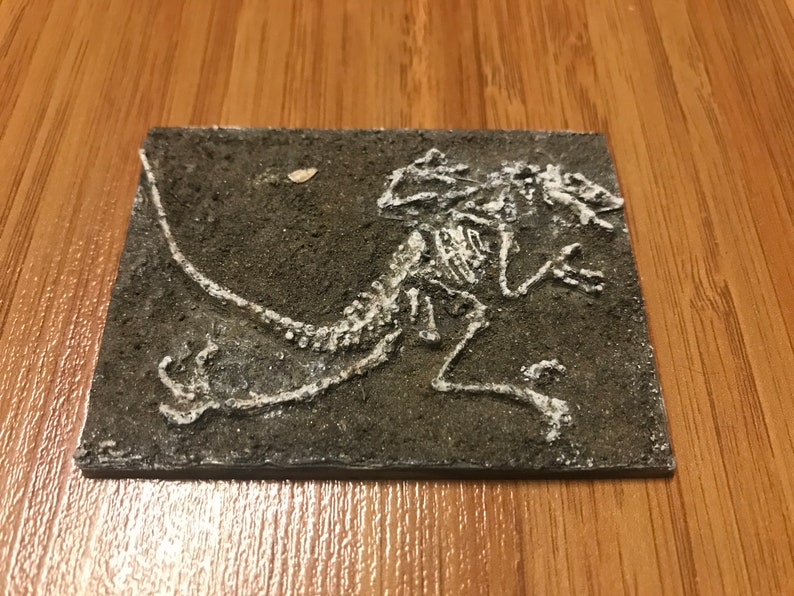 Velociraptor Dinosaur 3D Fossil Model, Skeleton Scalpture - Etsy