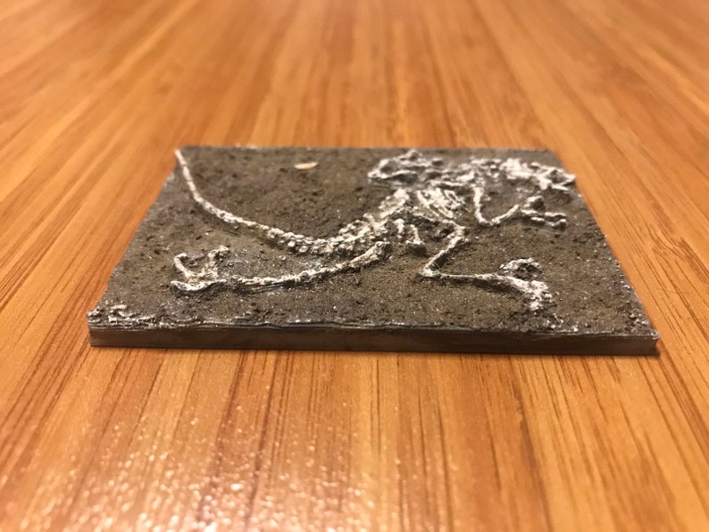 Velociraptor Dinosaur 3D Fossil Model Skeleton Scalpture - Etsy