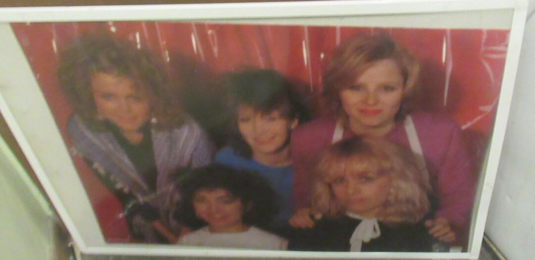 GO GOS Poster New Sealed No Frame 1980s Original Rare Collectible Gogos ...