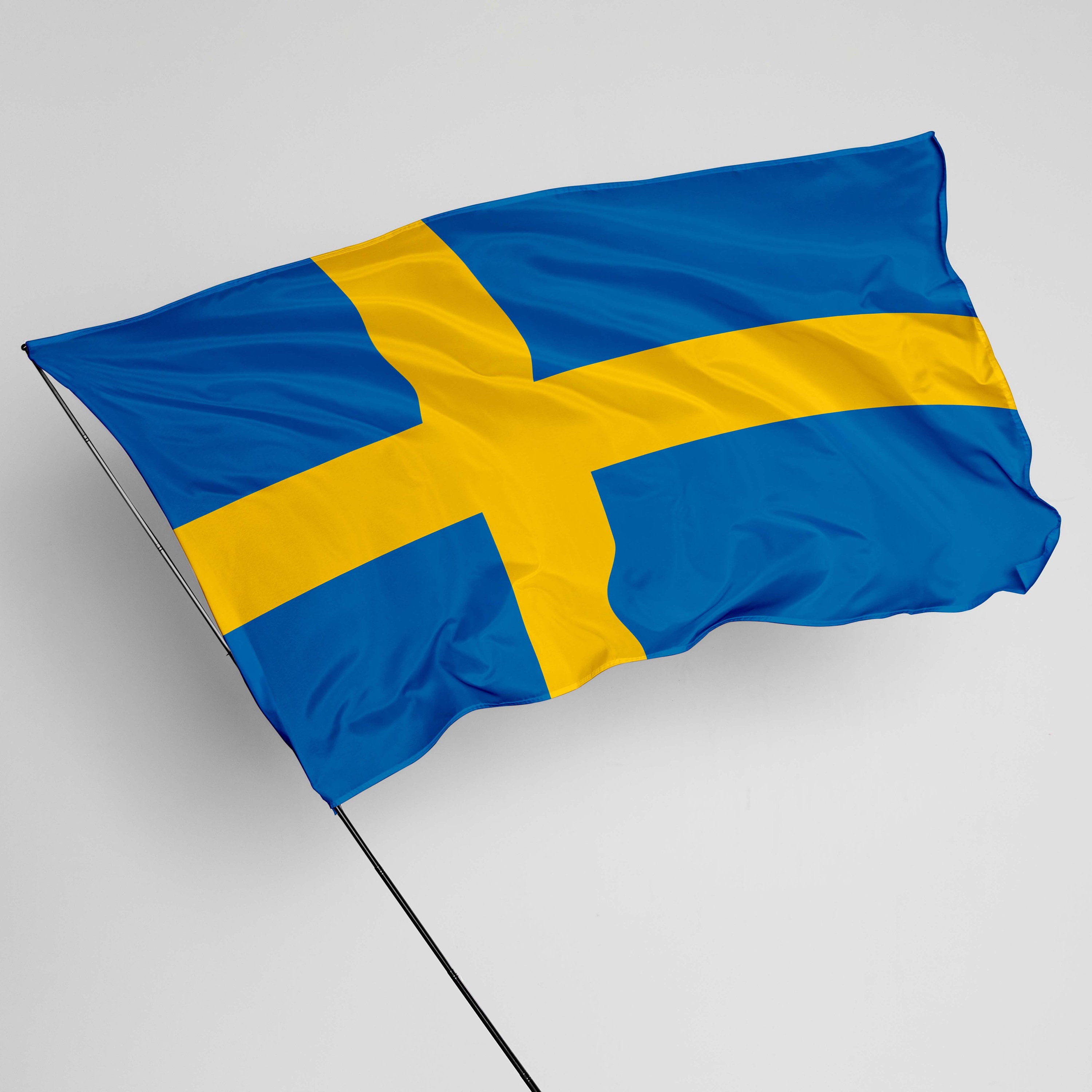 Swedish Flag