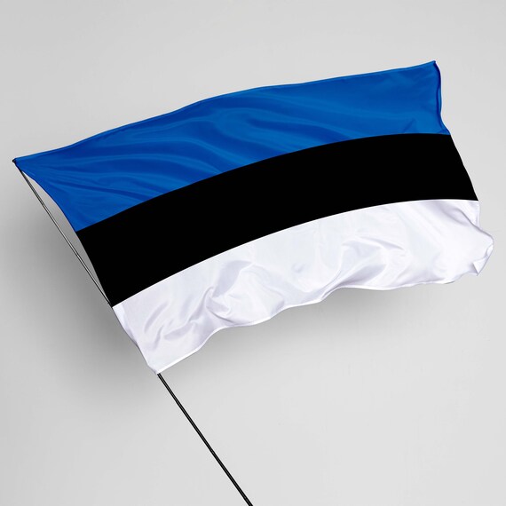 Flag of Estonia Estonian Flag Table Flag Protective Face | Etsy